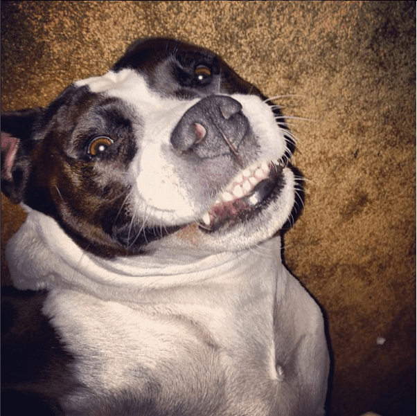 Flexible Company Cultures: An Interview with Doug Coull - TalentCulture